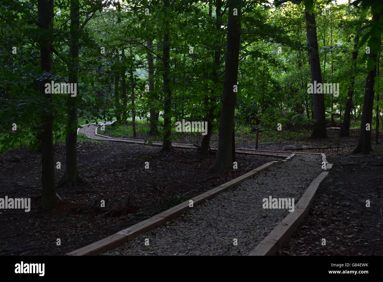 Follow the path Stock Photo - Alamy
