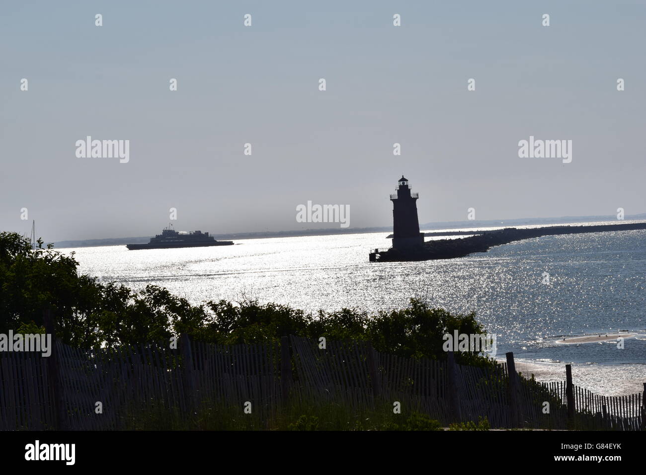 Taken at Cape Henlopen State Park in Lewes Delaware Stock Photo - Alamy