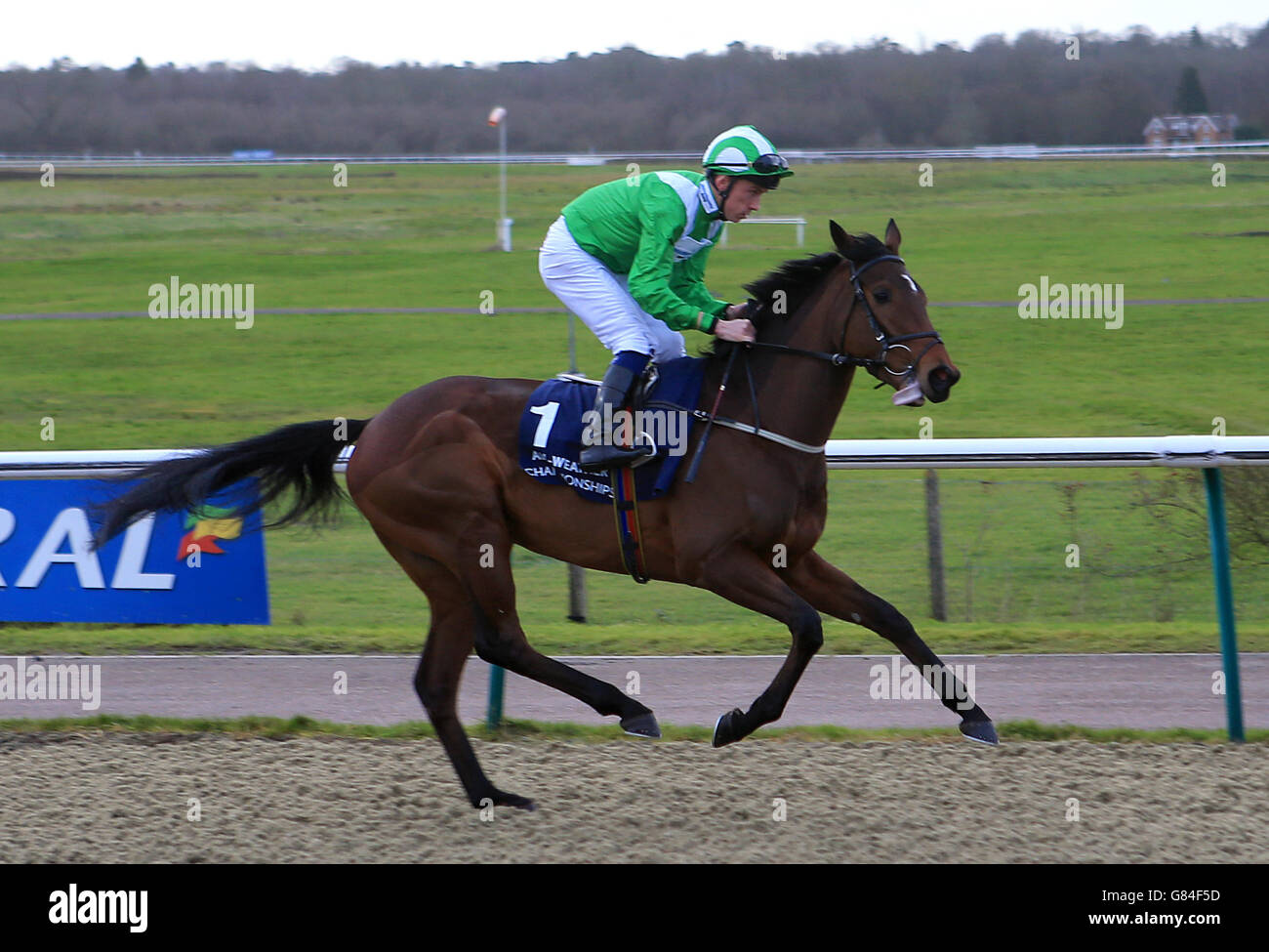 Shane kelly jockey hi-res stock photography and images - Alamy