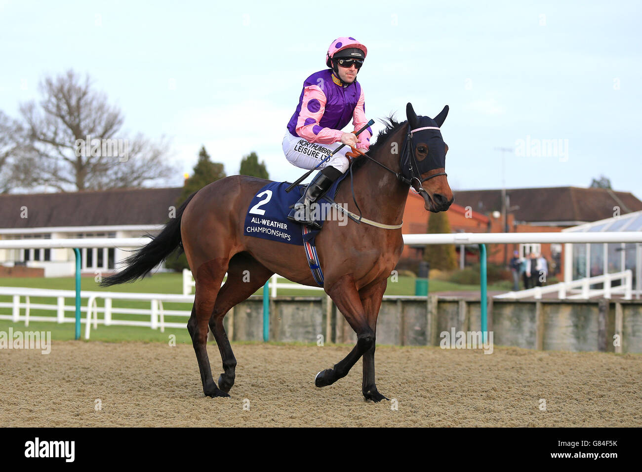 Golden Amber ridden by jockey Robert Winston going to post before the ...