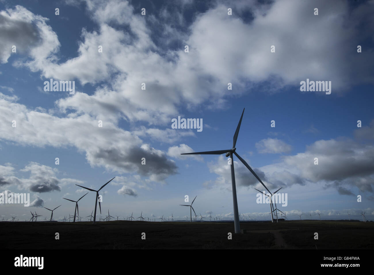 A view of turbines at Whitelee Windfarm in East Renfrewshire, the UK's ...