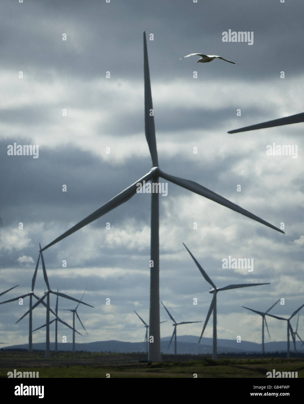 Uks largest onshore wind farm hi-res stock photography and images - Alamy