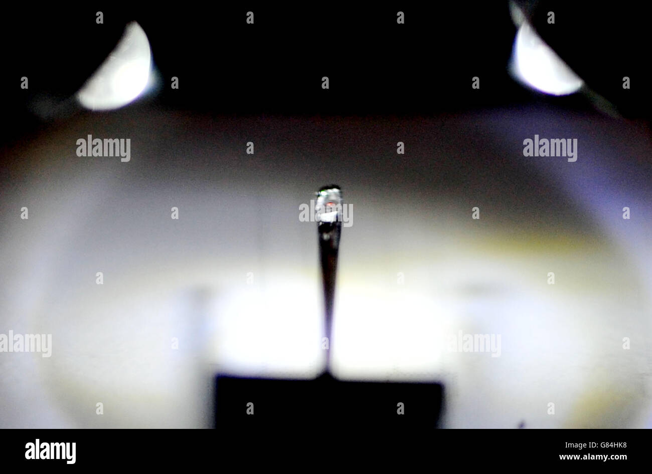 A micro-sculpture figure of Ant-Man, set in the eye of a needle, placed ...