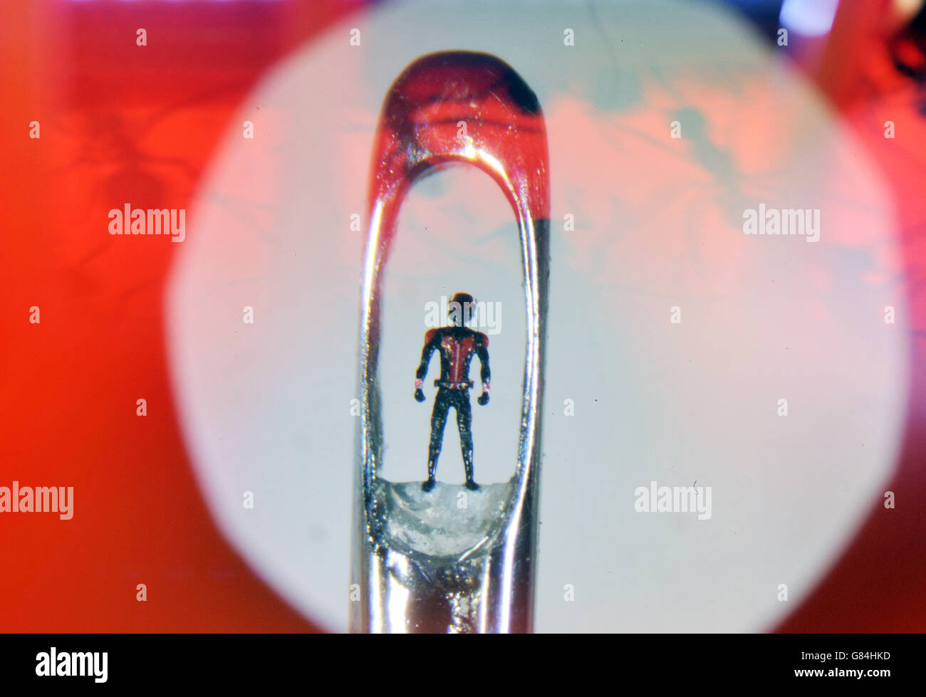 Willard wigan sculptures hi-res stock photography and images - Alamy