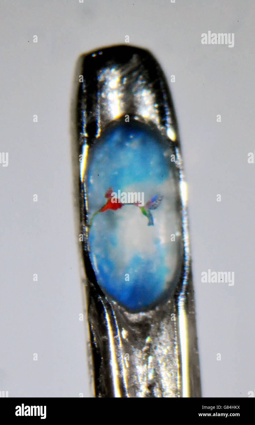 Willard wigan hi-res stock photography and images - Alamy