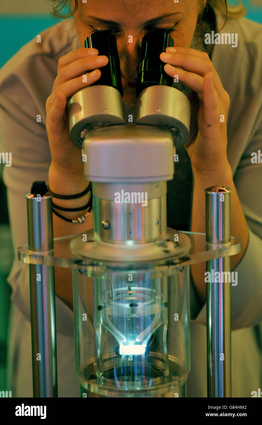 A woman looks through a microscope at a micro-sculpture by British ...