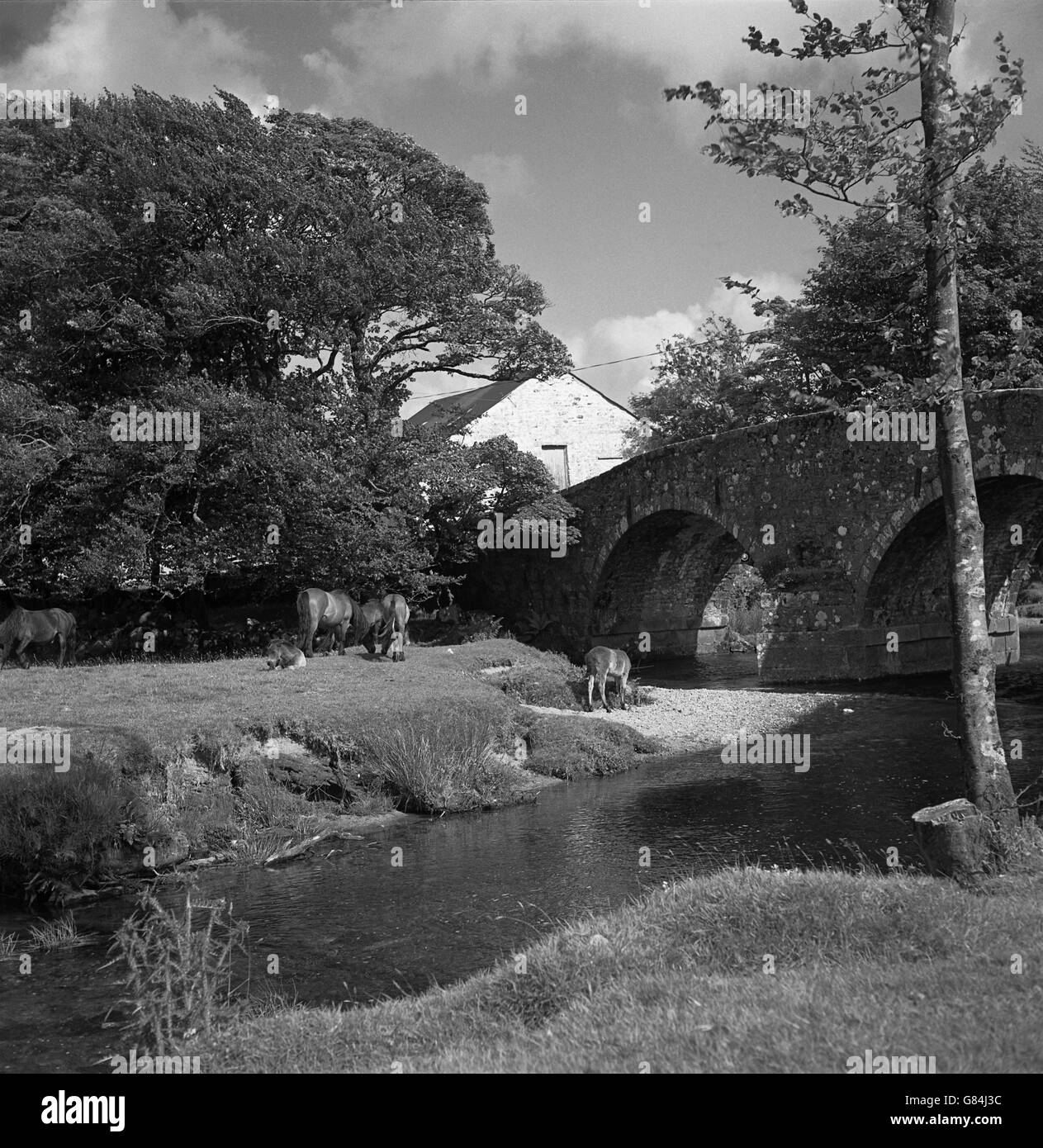 Places - Princetown - Dartmoor, Devon Stock Photo - Alamy