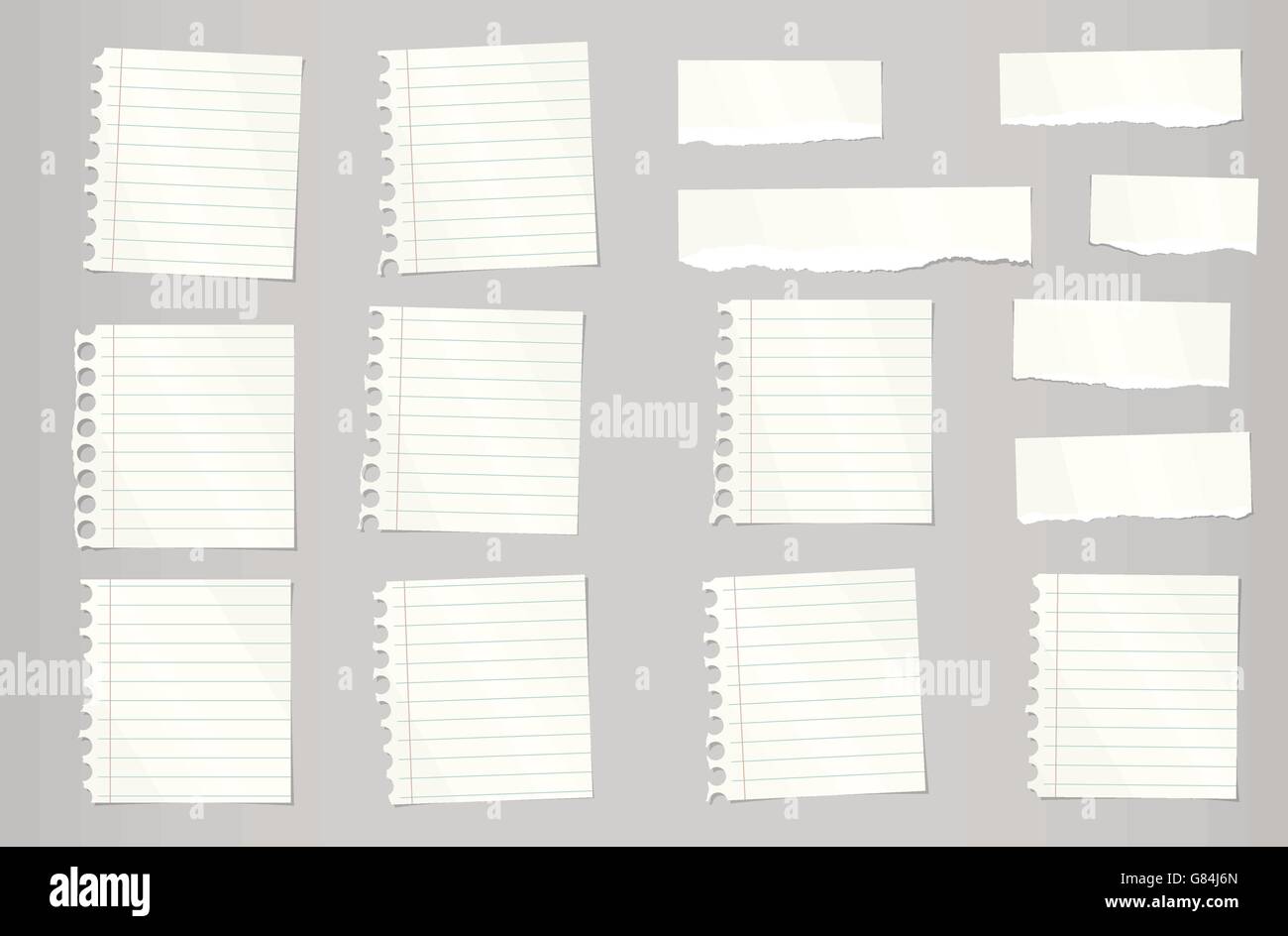 Pieces of torn beige ruled notebook paper are stuck on gray background ...