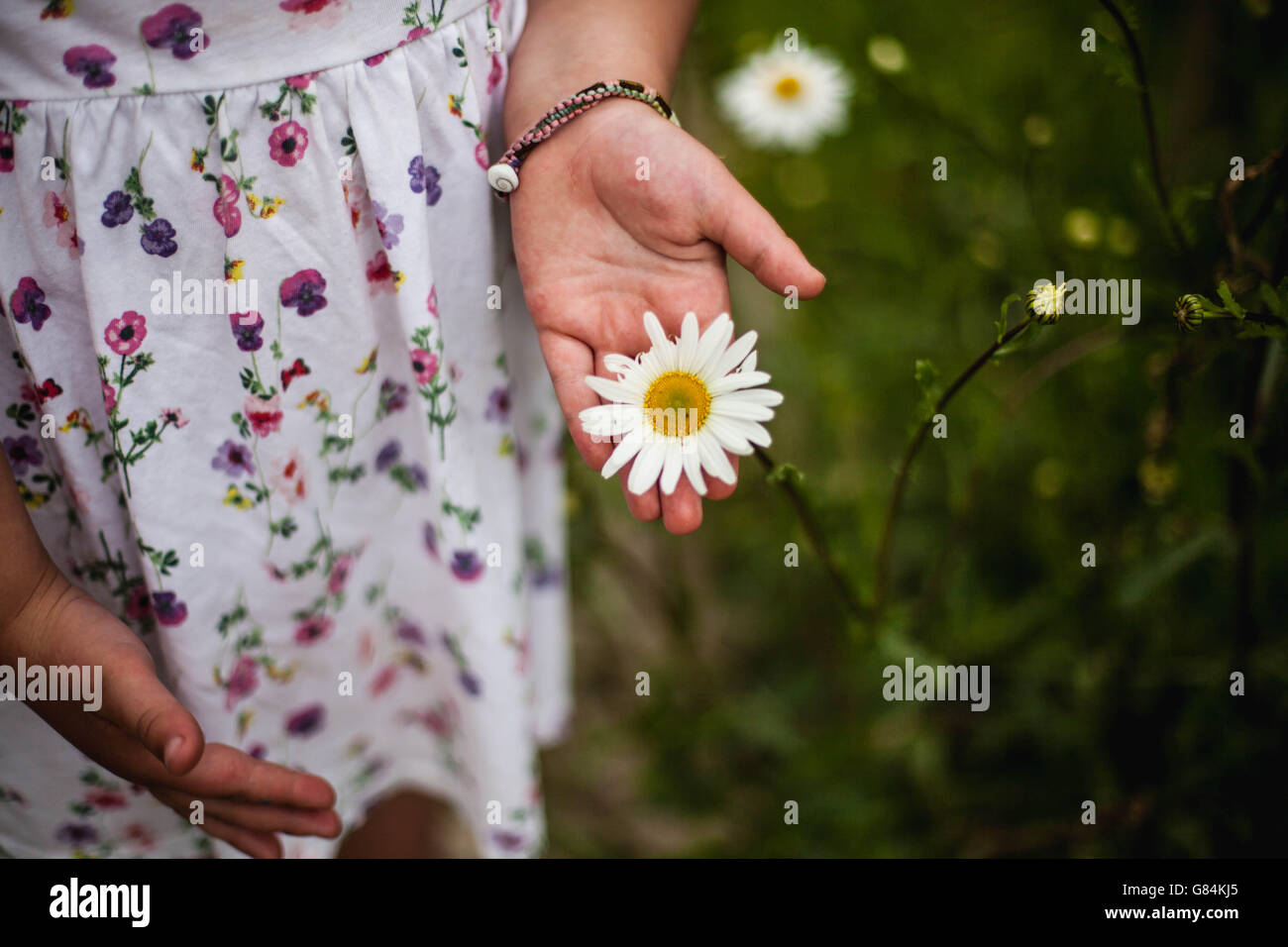 Girl holding a daisy flower Stock Photo - Alamy