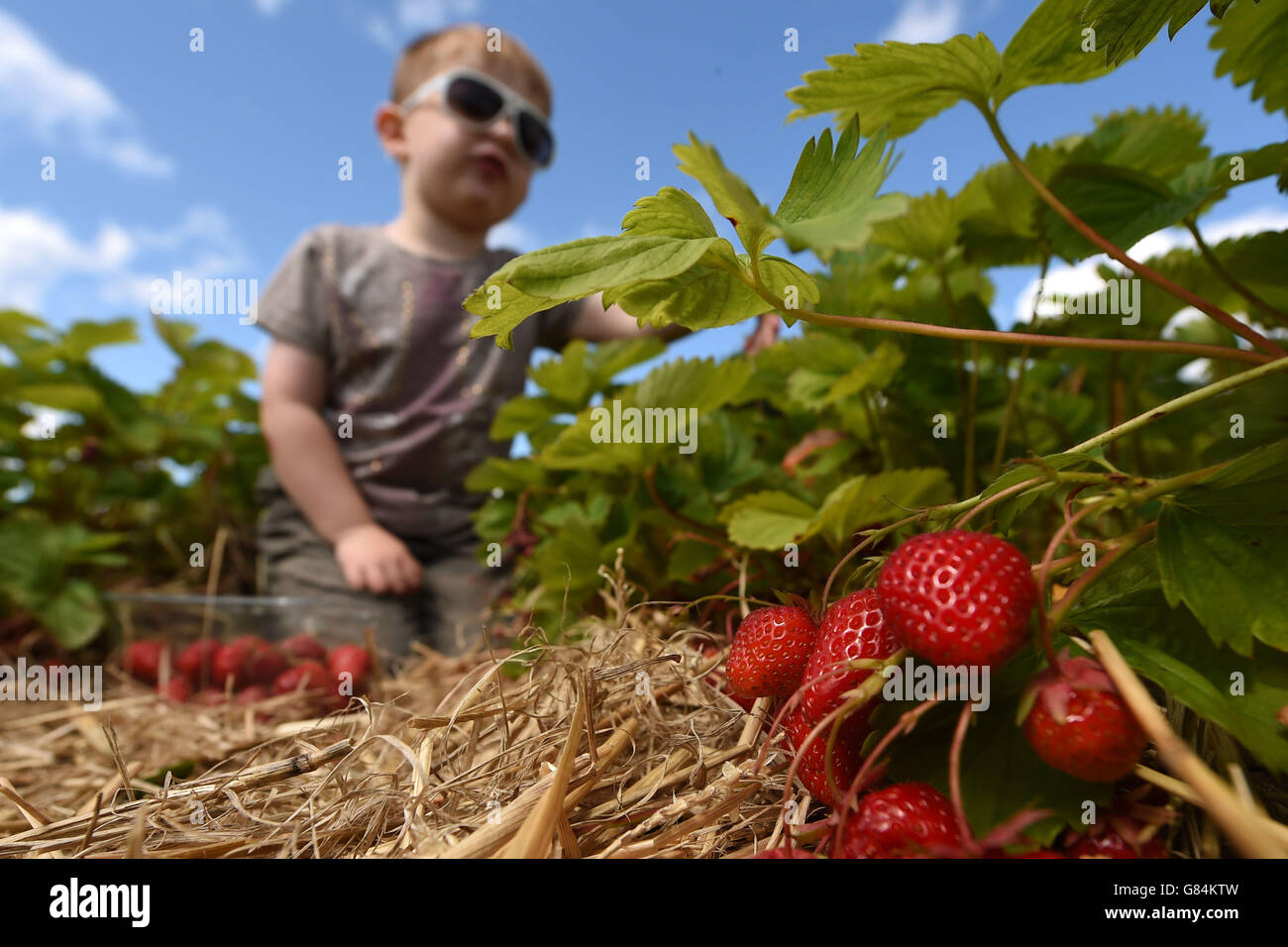 Harvey Whitehouse, 3, of Walsall, makes the most of the warm weather as ...