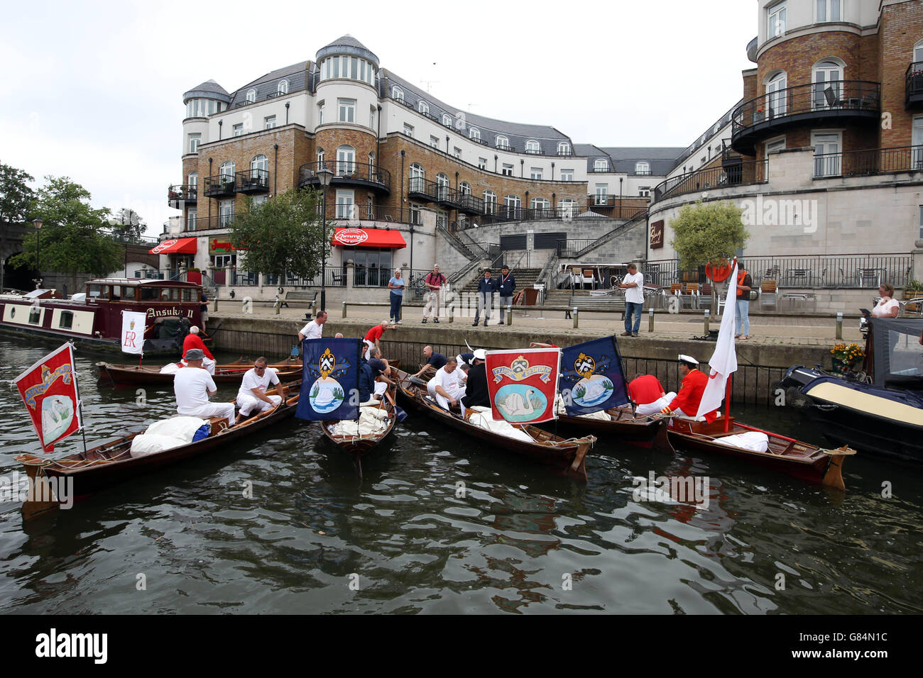 Swan Uppers travel up the river Thames in Surrey looking for swans and ...