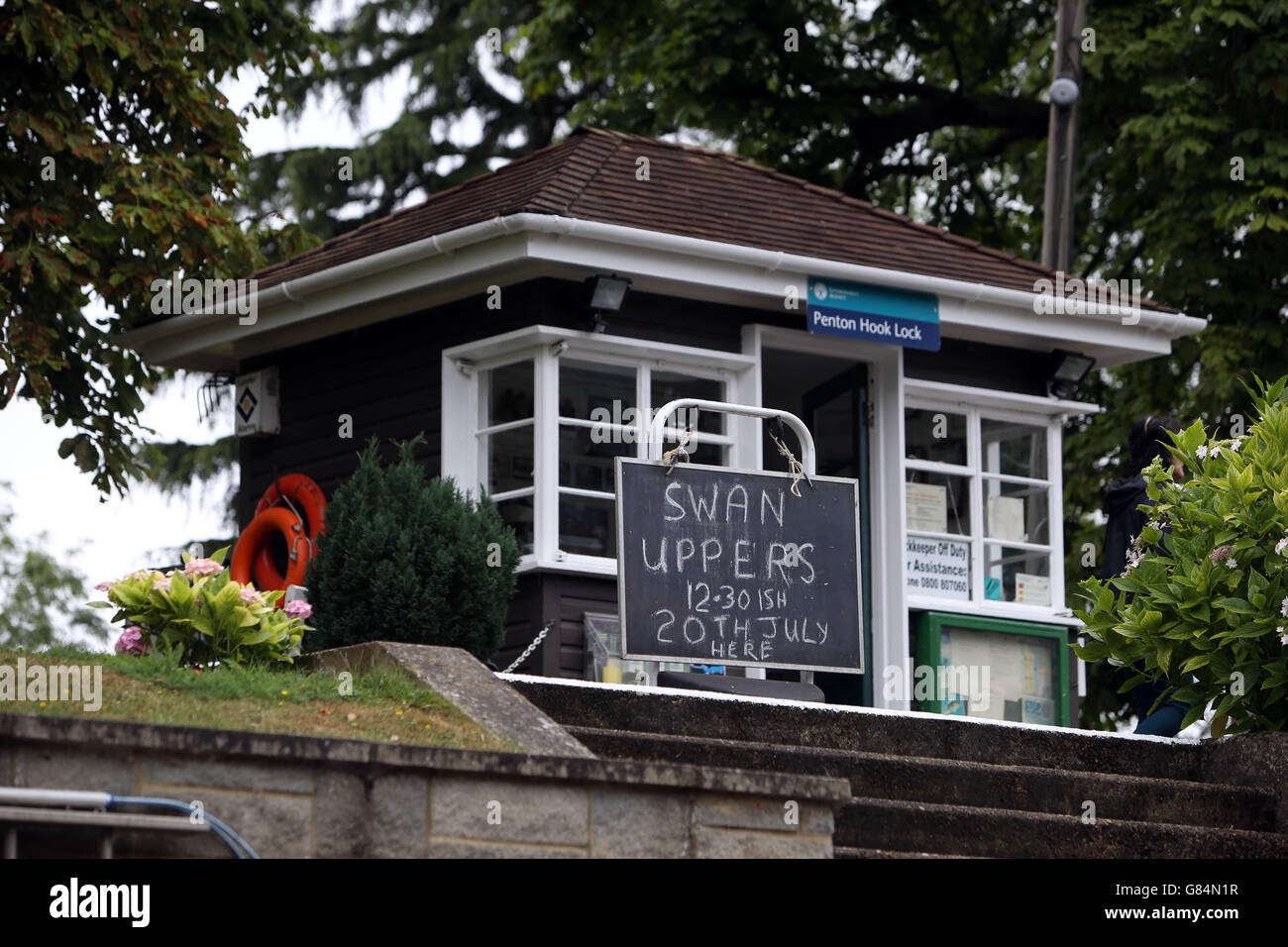 Penton Hook Lock during the Swan Upping ceremony, the annual census of ...