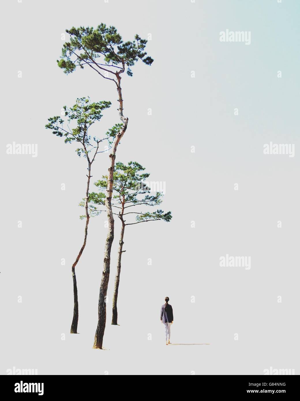 Woman beside trees hi-res stock photography and images - Alamy