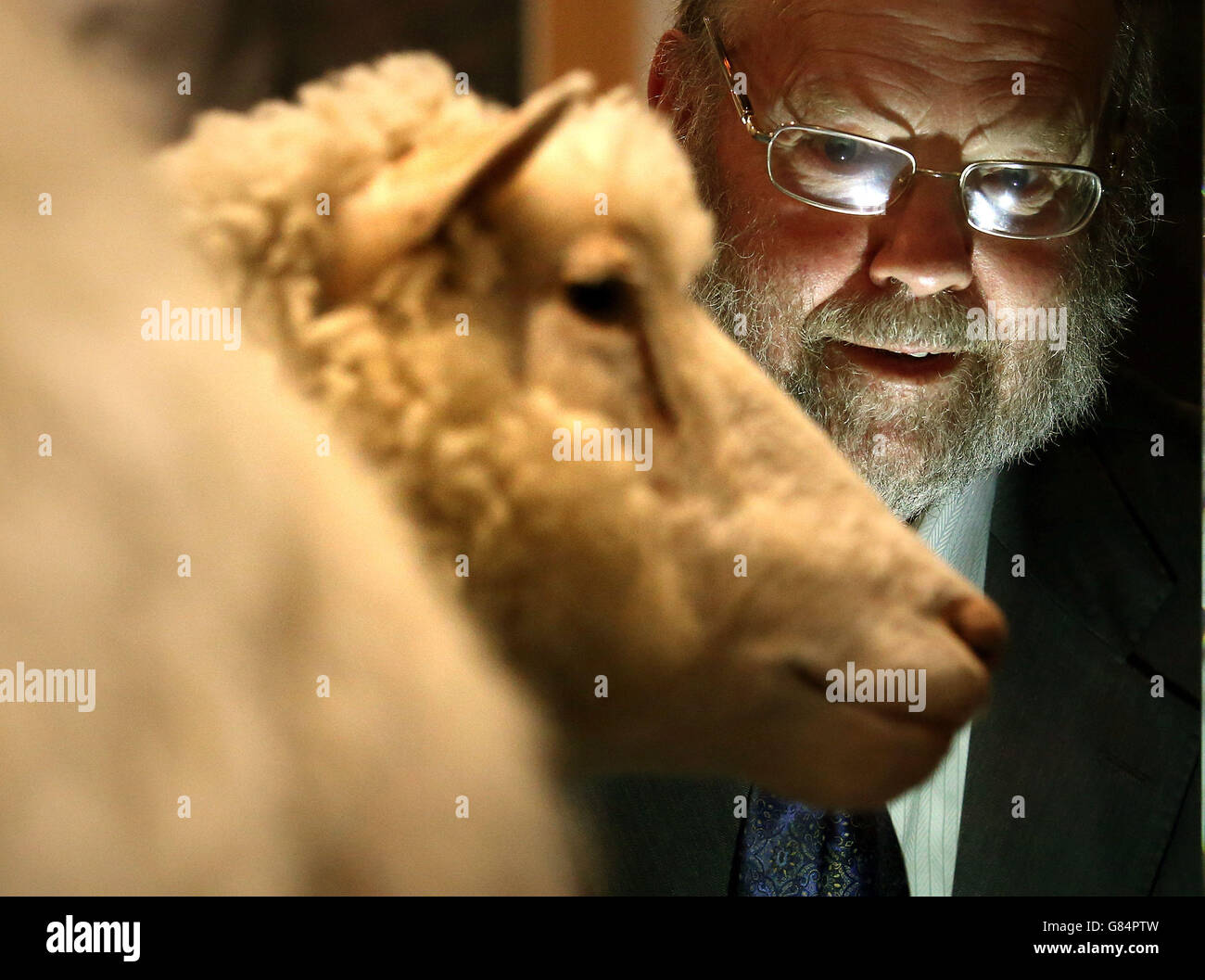 Dolly with British embryologist Professor Sir Ian Wilmut, as the sheep ...
