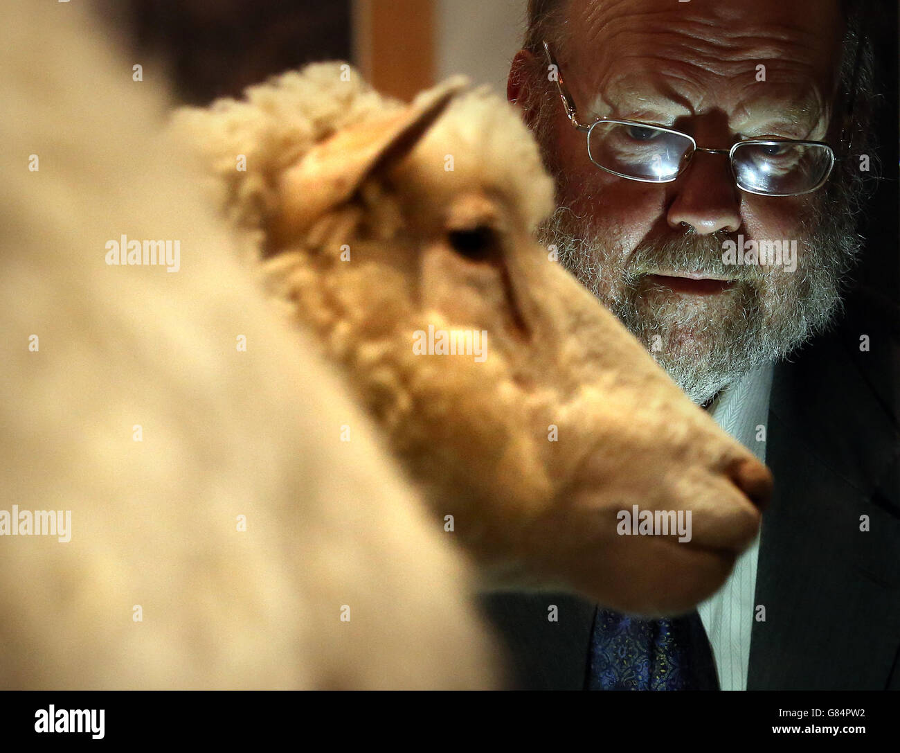 Dolly with british embryologist professor sir ian wilmut hi-res stock ...