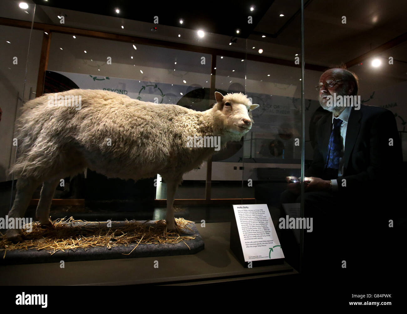 Dolly with British embryologist Professor Sir Ian Wilmut, as the sheep ...