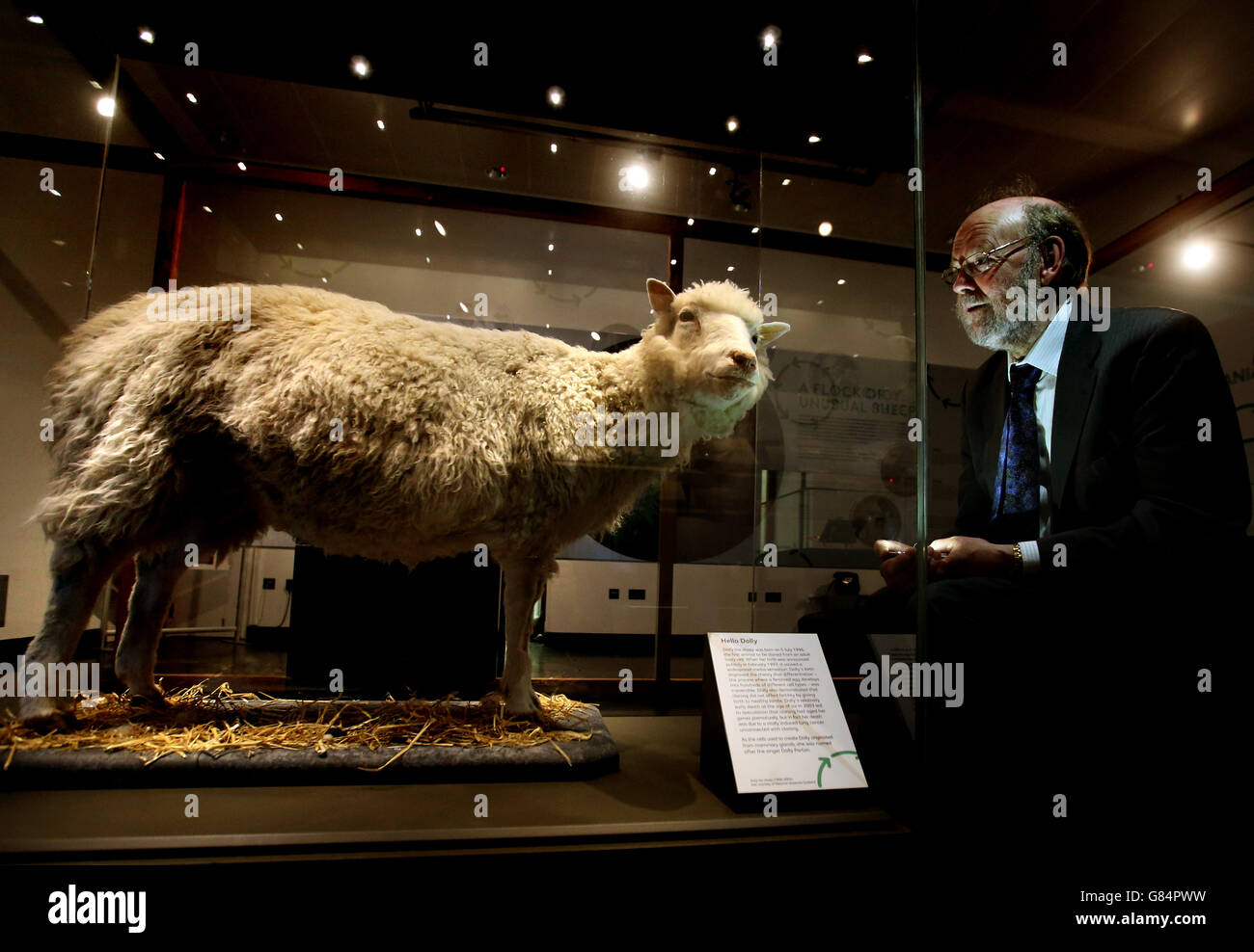 Dolly with British embryologist Professor Sir Ian Wilmut, as the sheep ...