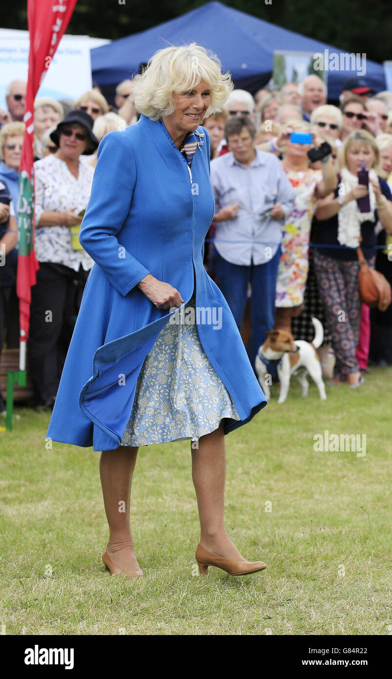 Sandringham flower show Stock Photo - Alamy