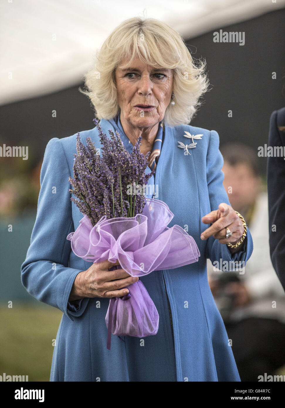 Sandringham flower show Stock Photo - Alamy