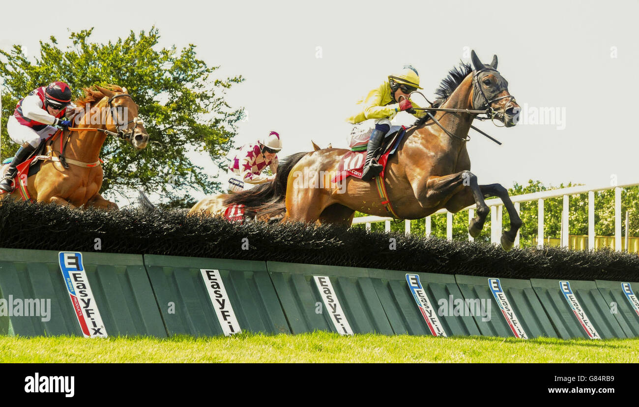 Lilly the Lioness and Mark Enright jump the last ahead of Damefirth to ...