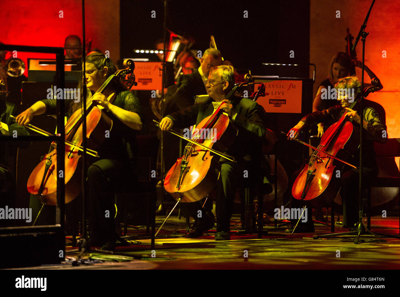 Members of the Orchestra of Welsh National Opera performing live on ...