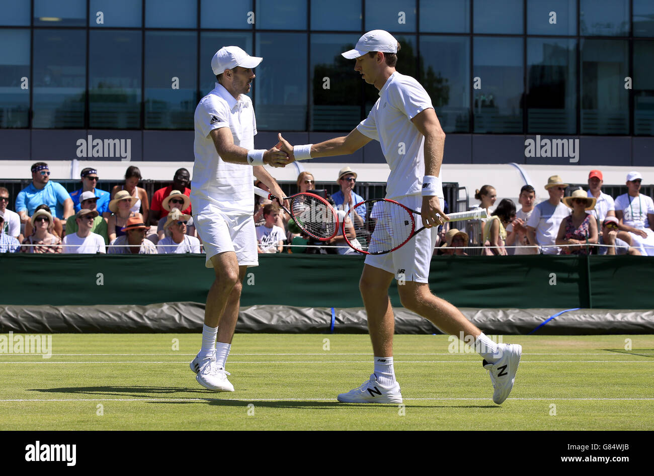 Butorac hi-res stock photography and images - Alamy