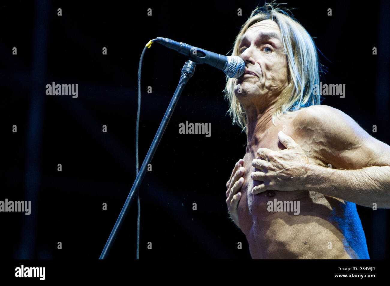Iggy pop band iggy stooges hi-res stock photography and images - Alamy