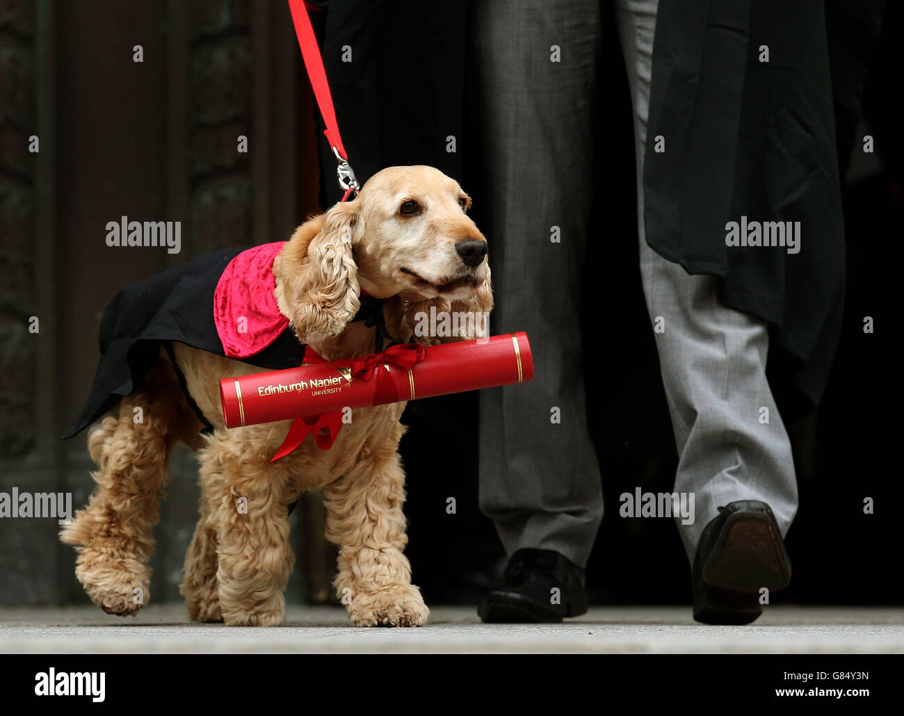 Edinburgh Napier University Student Jack Proctor with his dog Fudge as ...