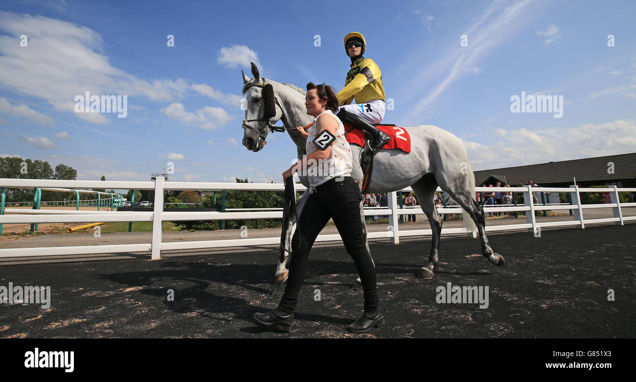 Grey race horse hi-res stock photography and images - Alamy