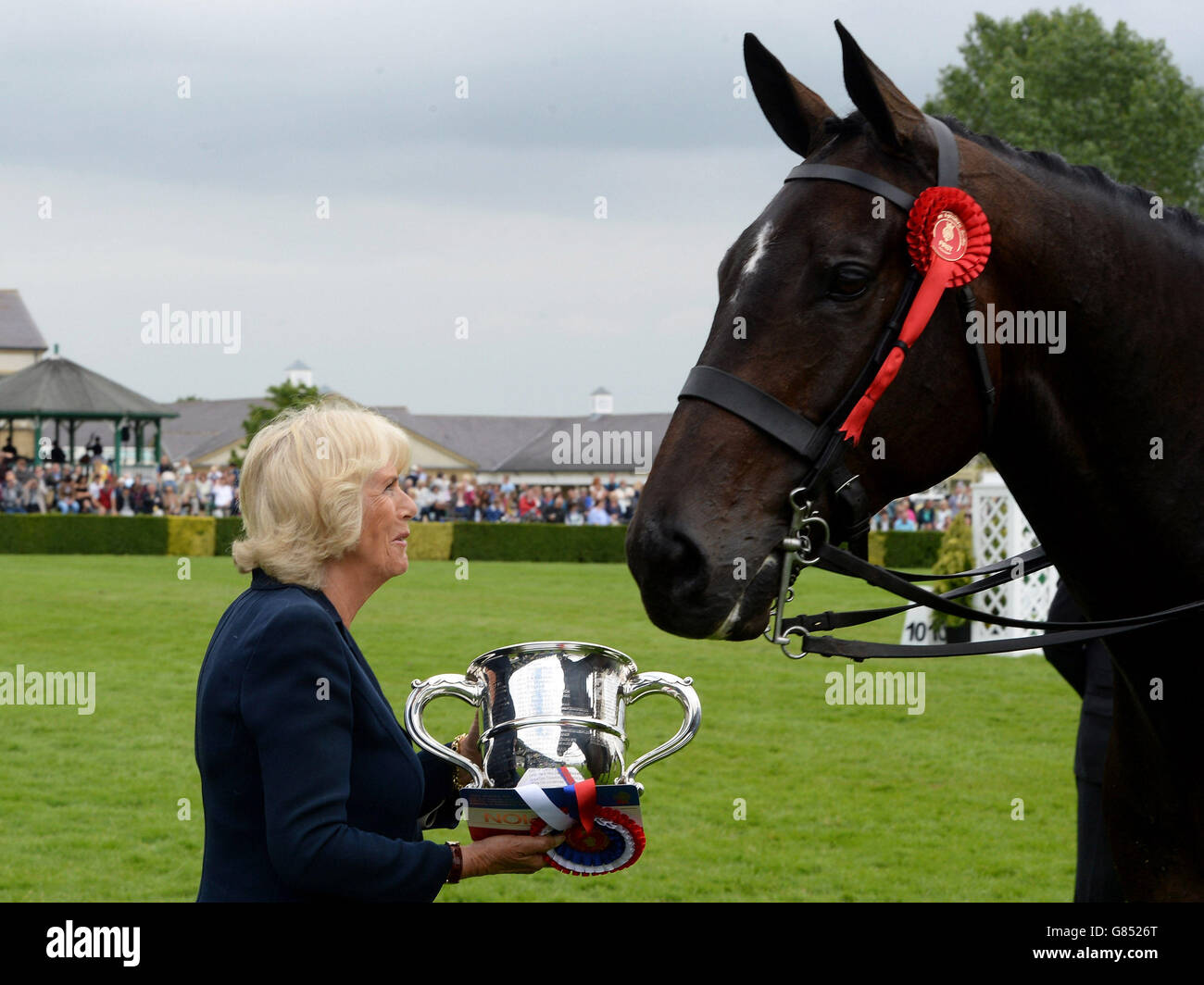 The Great Yorkshire Show Stock Photo - Alamy