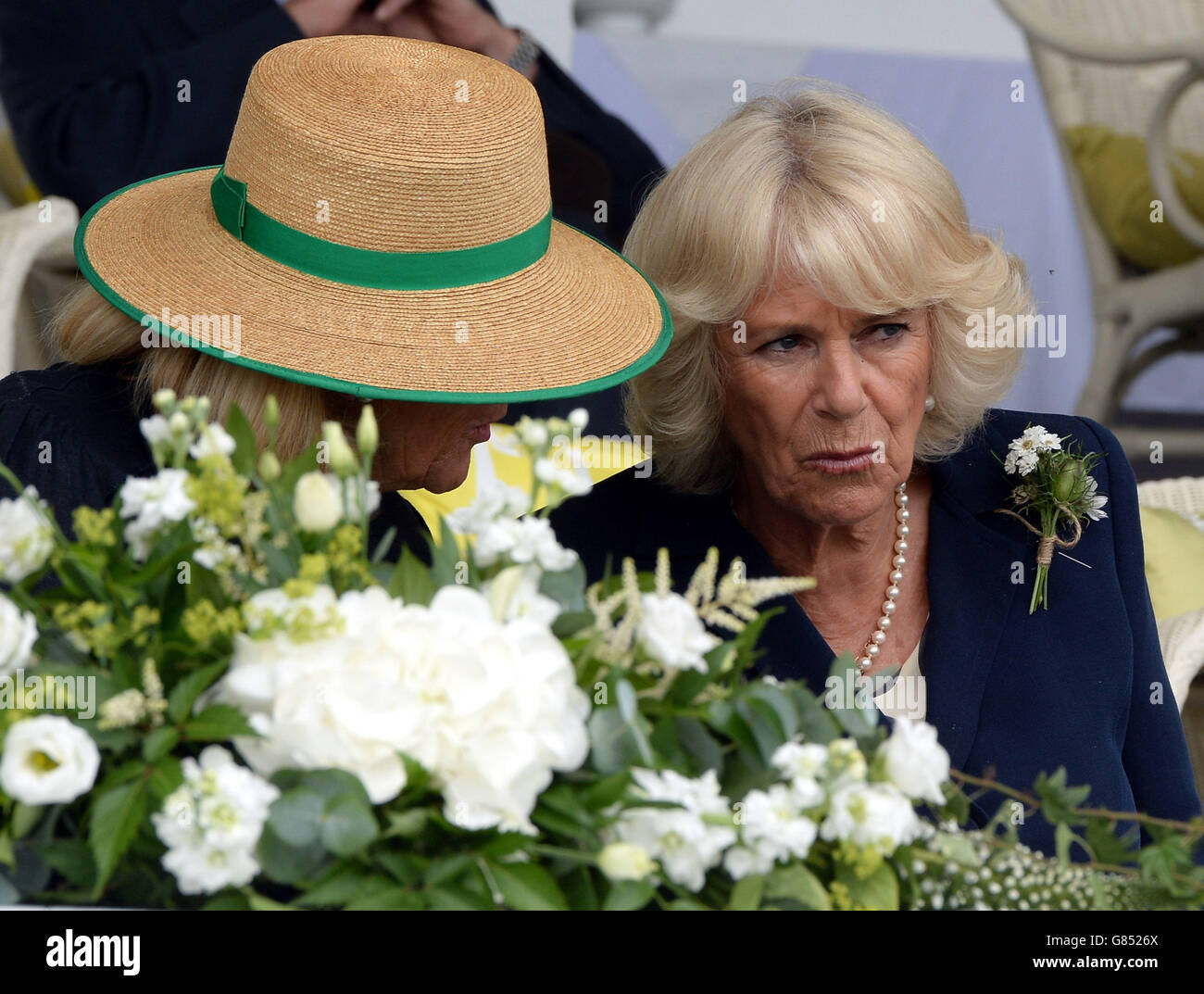 The Great Yorkshire Show Stock Photo - Alamy