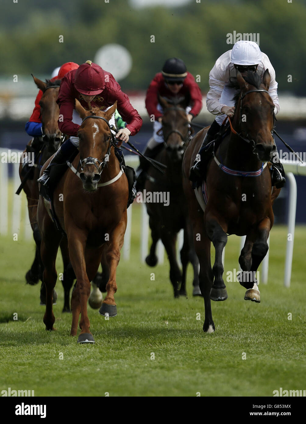 David probert newbury racecourse hi-res stock photography and images ...