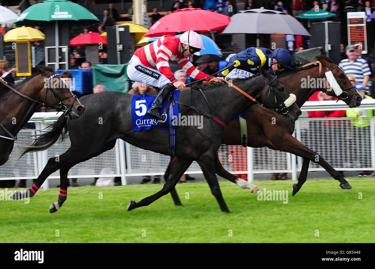 Invincible spirit horse hi-res stock photography and images - Alamy