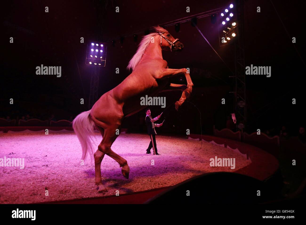 Jamie Duffy and his horse act during Tom Duffy's International Circus ...