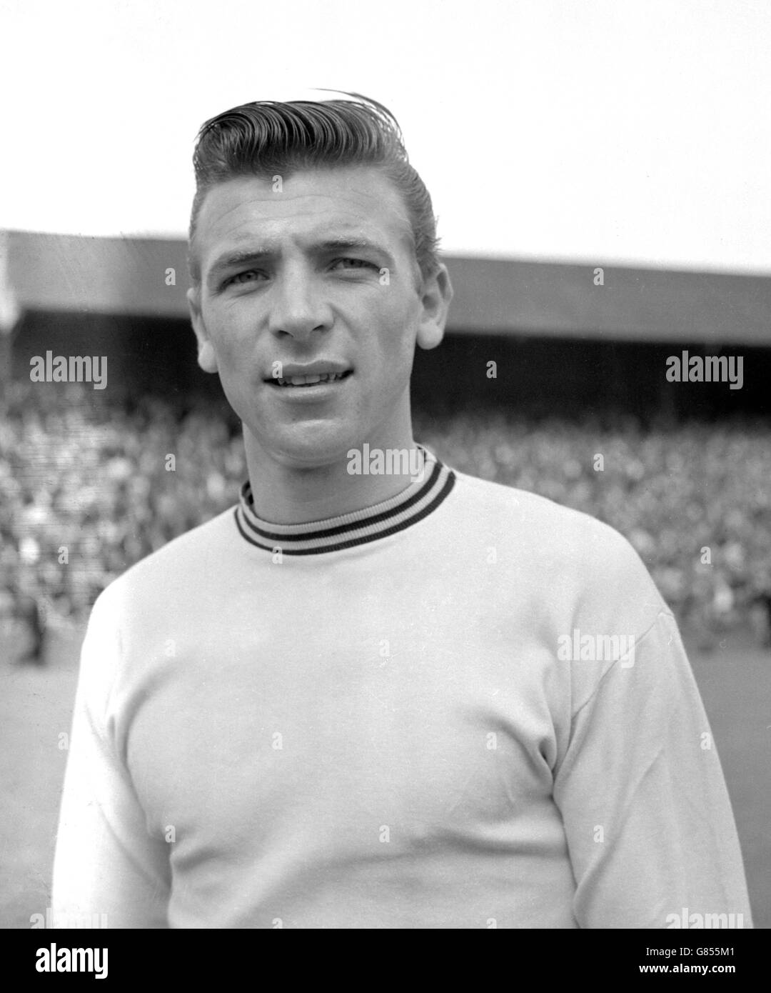 Watford fc photocall hi-res stock photography and images - Alamy