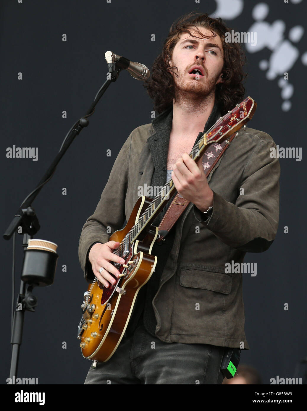 Andrew Hozier-Byrne of Hozier performs on the main stage at the T in ...