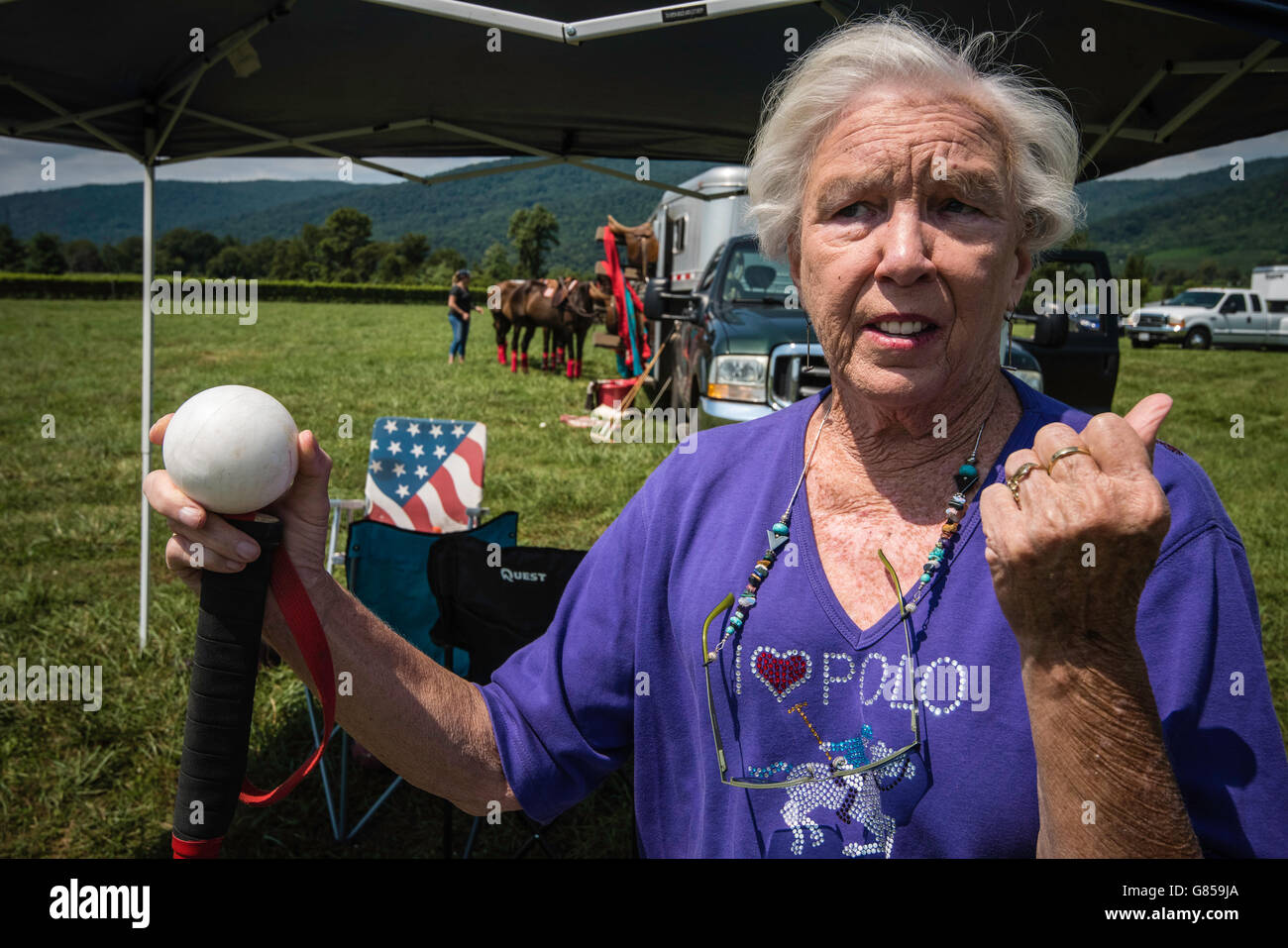 Polo ponies at Virginia chukker field Stock Photo - Alamy