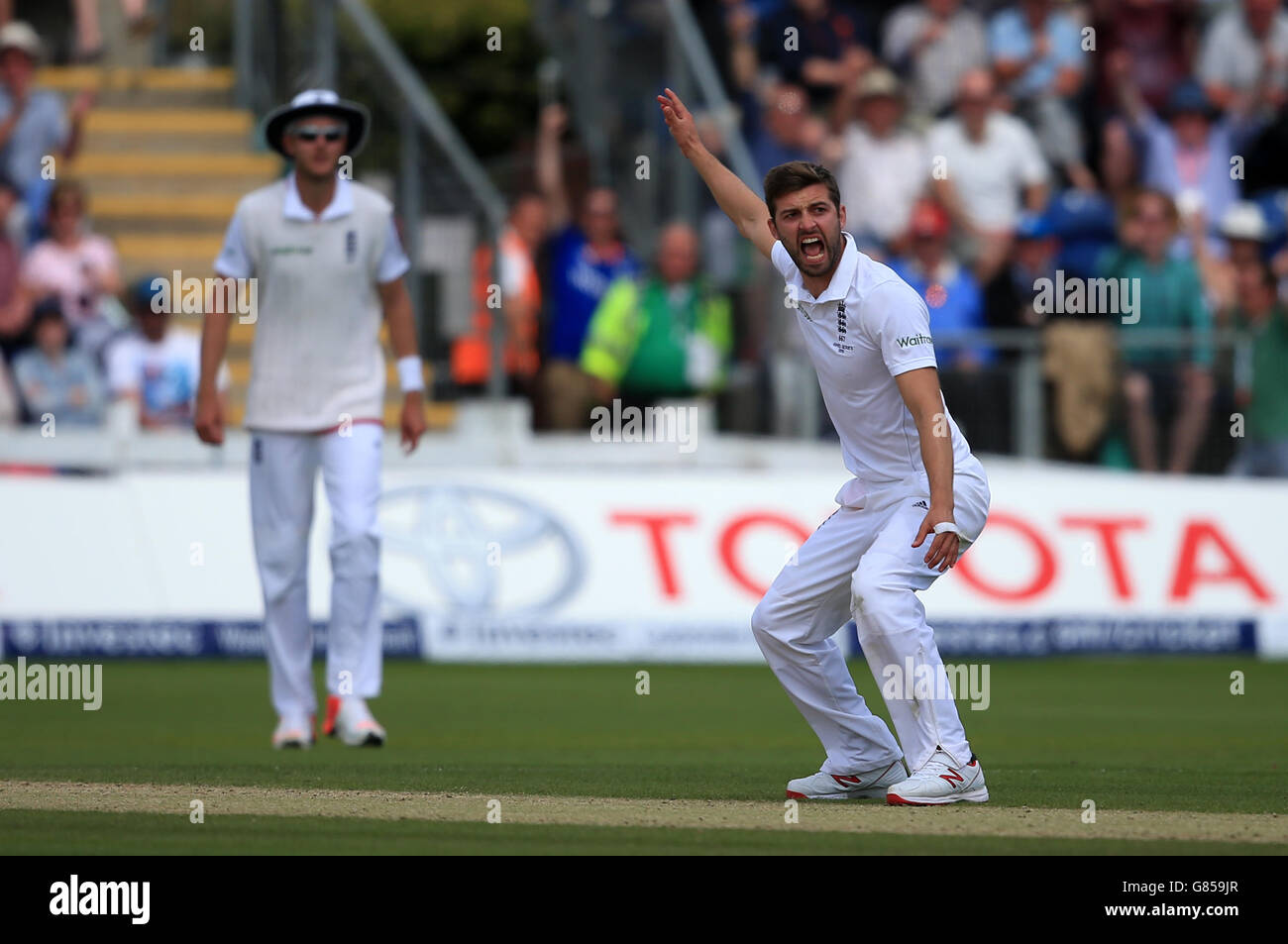 England bowler Mark Wood celebrates trapping Australia batsman Shane ...