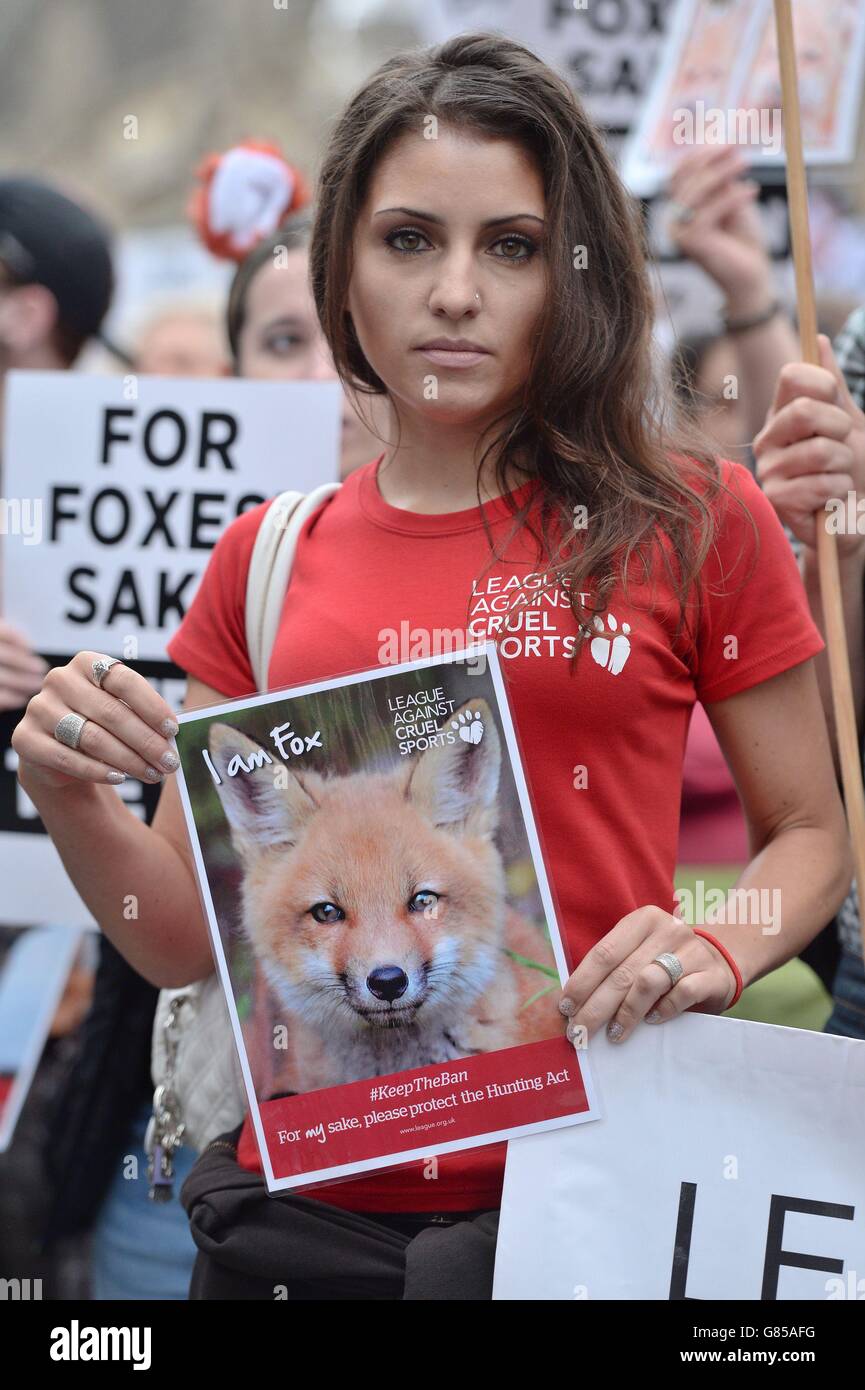 Anti foxhunting protesters gather outside houses parliament hi-res ...