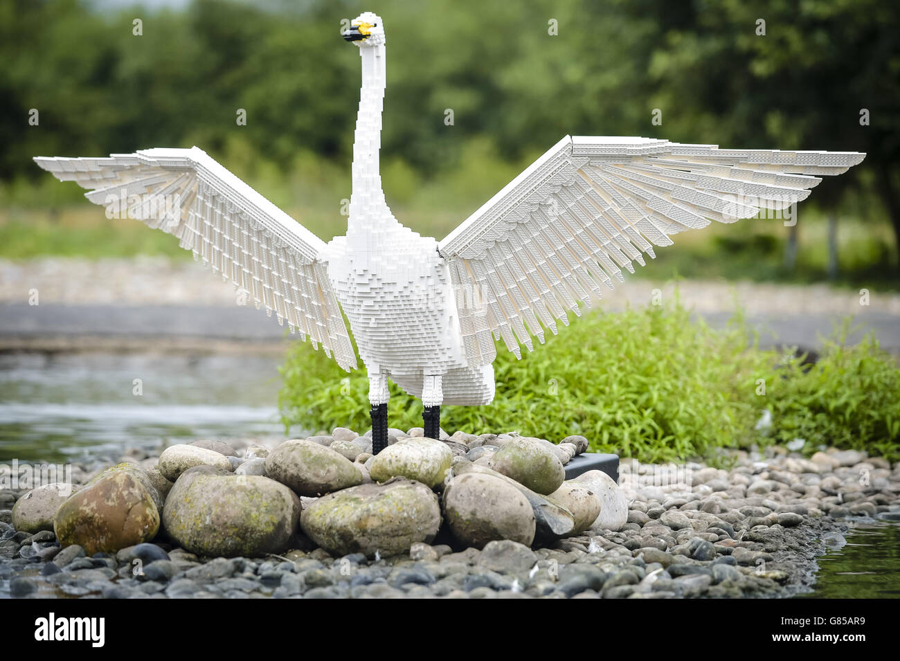 A lifesize LEGO sculpture of a Bewick's swan at Wildfowl and Wetlands ...