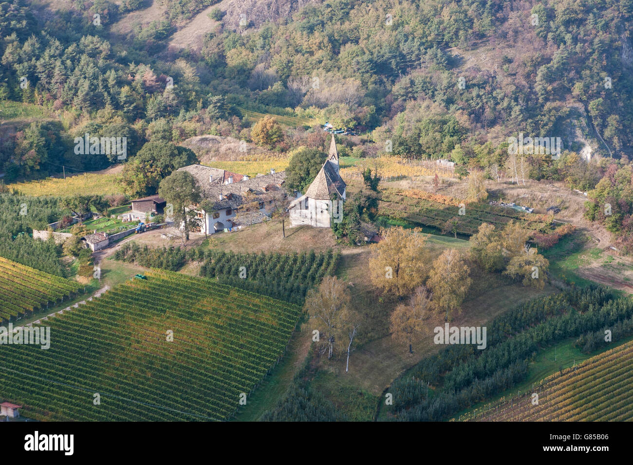 Aerial view of farm, vineyard and apple orchard in autumn with the ...