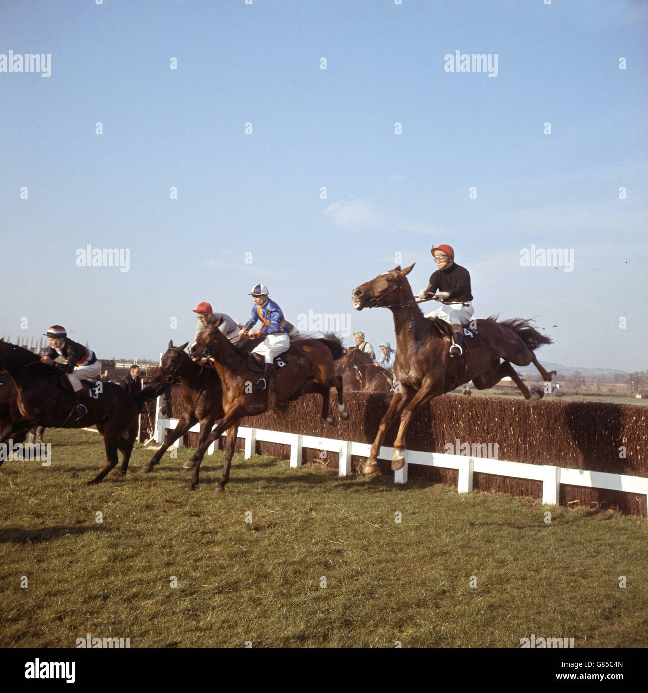 Totalisator hi-res stock photography and images - Alamy