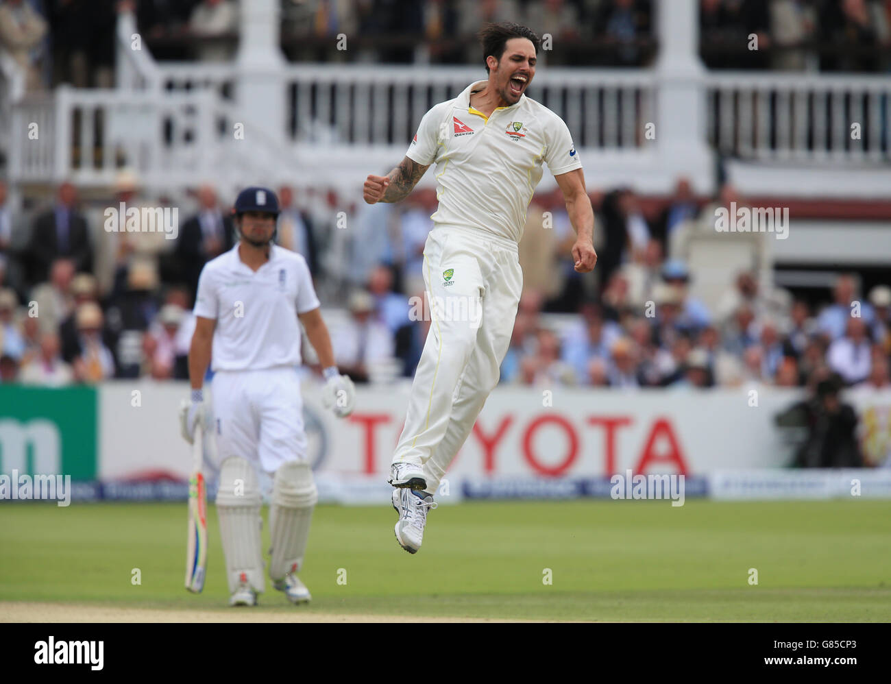 Australia bowler Mitchell Johnson celebrates taking the wicket of ...