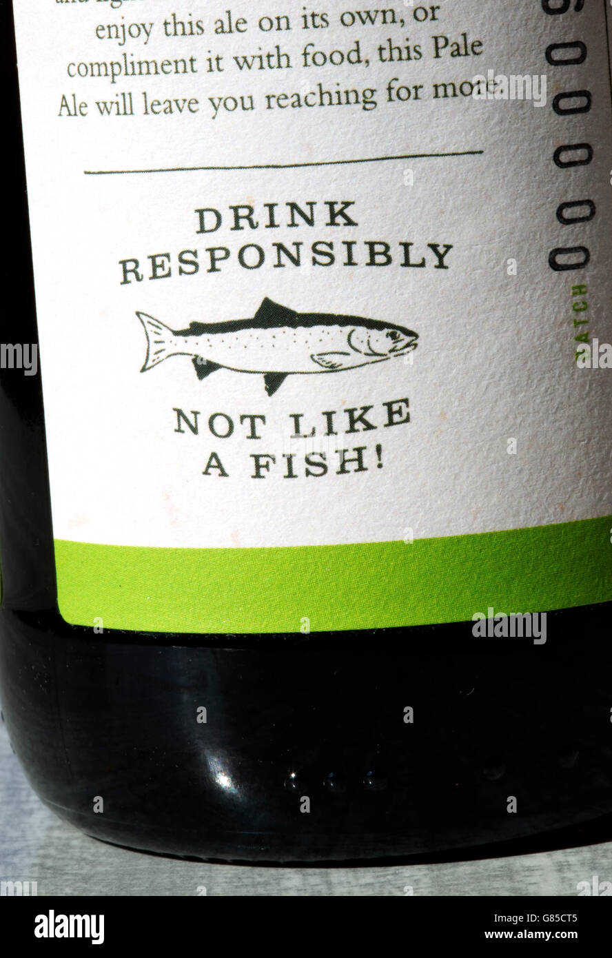 Budweiser Drink Responsibly Campaign