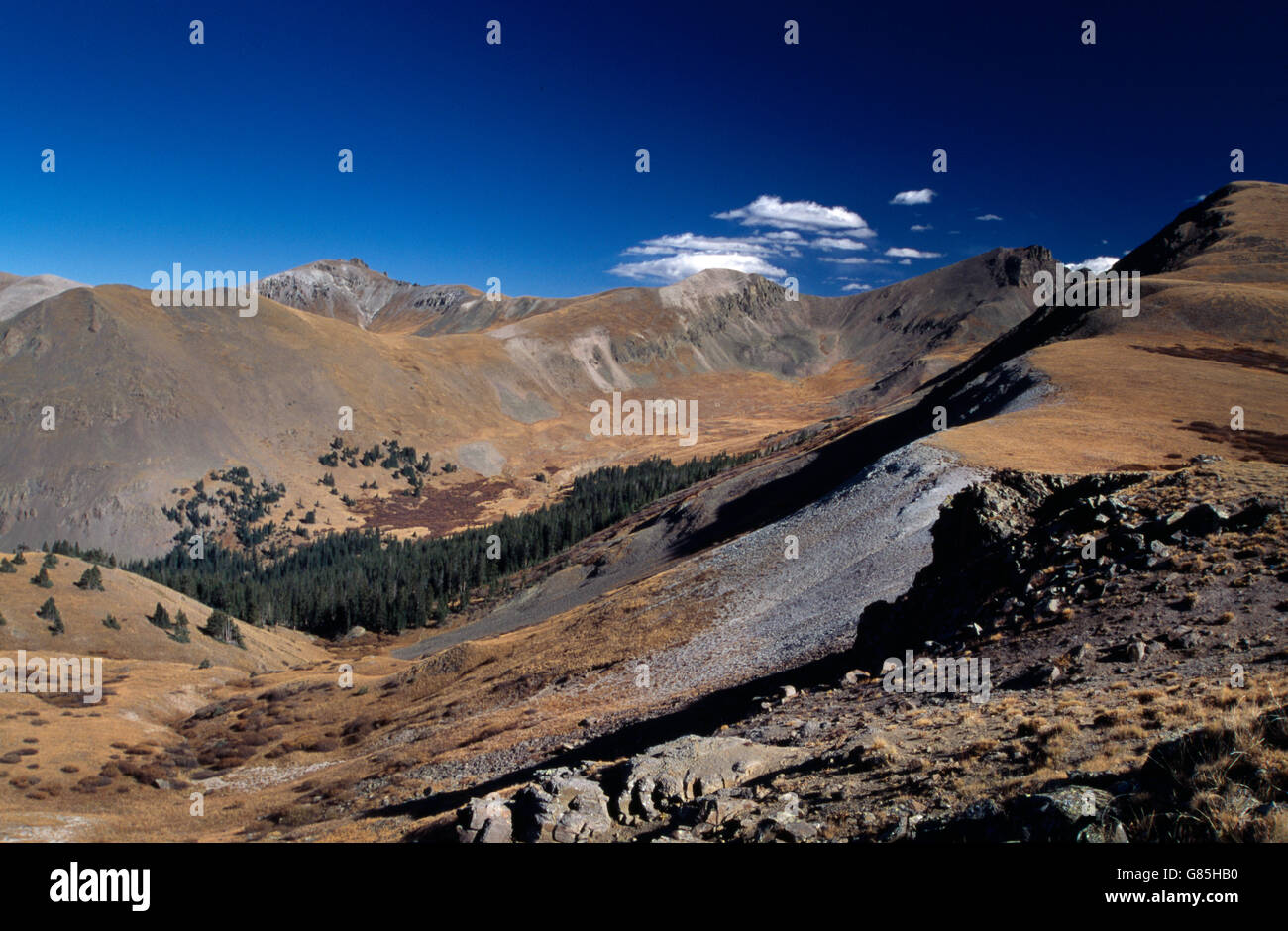 Colorado Usa La Garita Wilderness South Of San Luis Peak Stock Photo ...