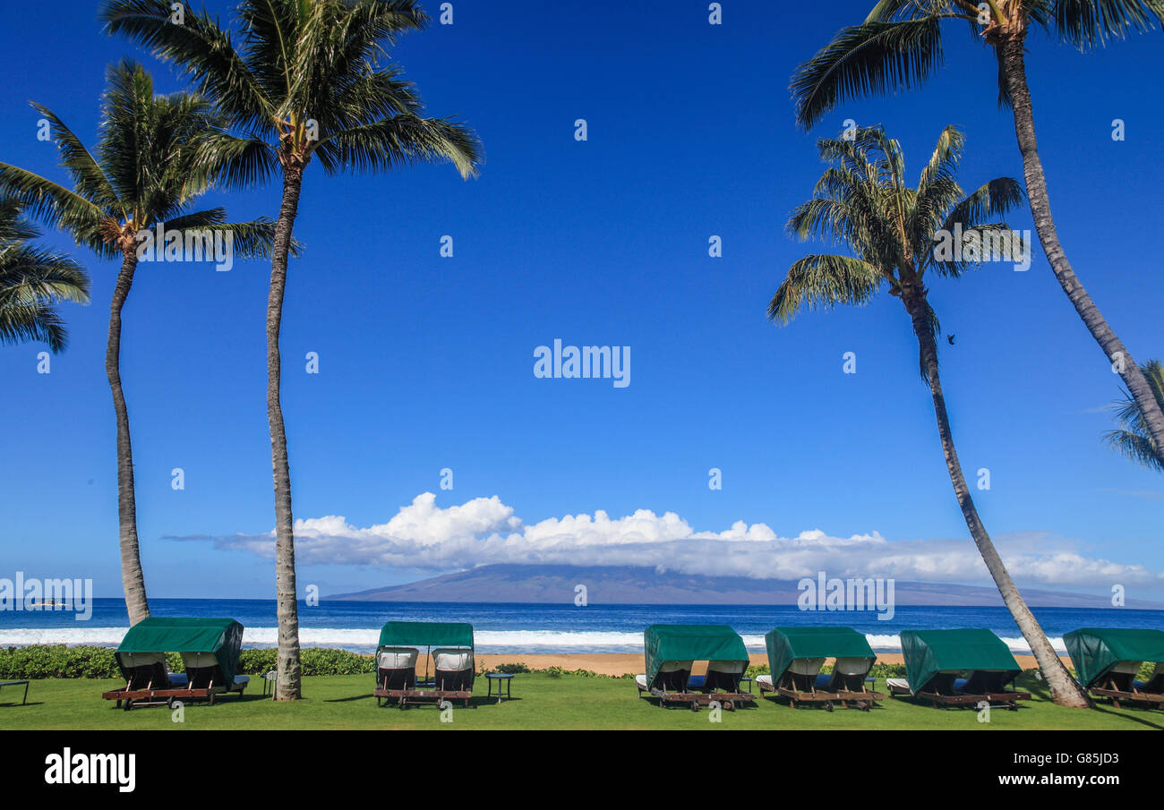 Hawaii beaches palm trees family hi-res stock photography and images ...