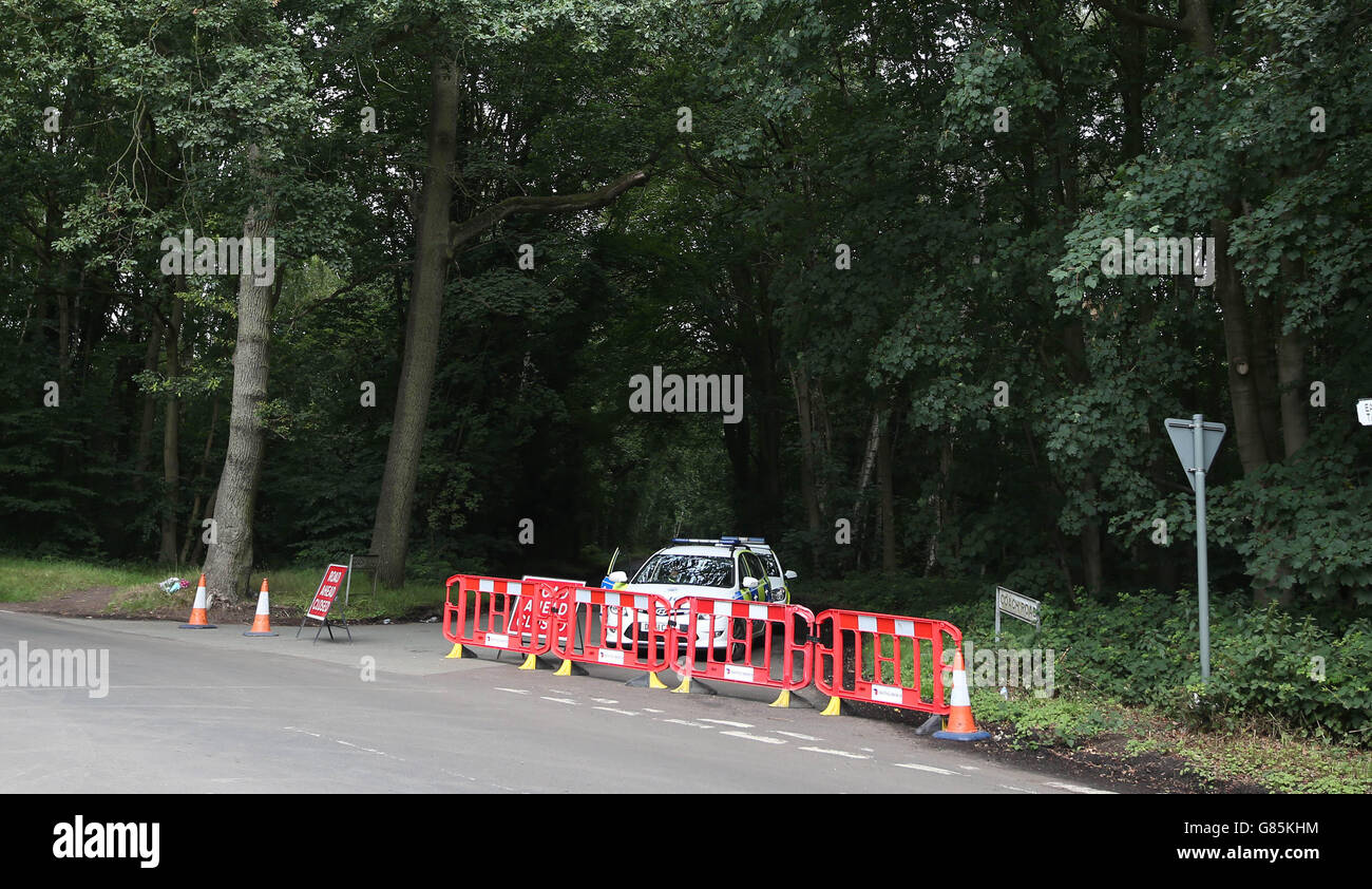 Oulton Park plane crash Stock Photo - Alamy