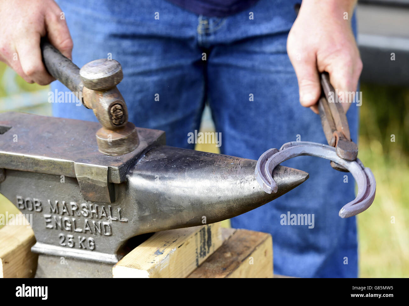 Carl Aldred, a farrier, at the Essex Heavy Horse show at the Orsett ...