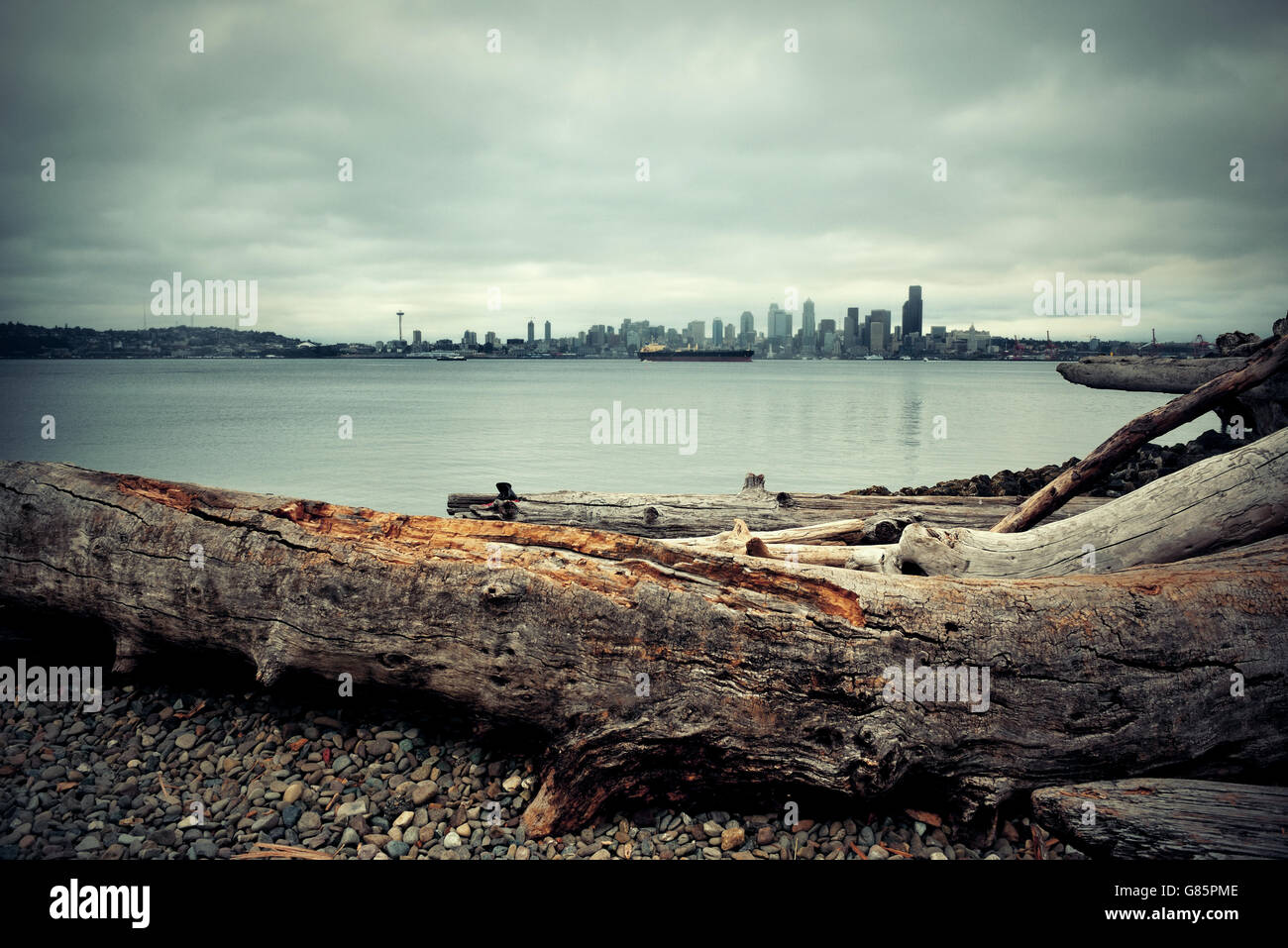 Seattle city skyline view over sea with urban architecture and tree log ...