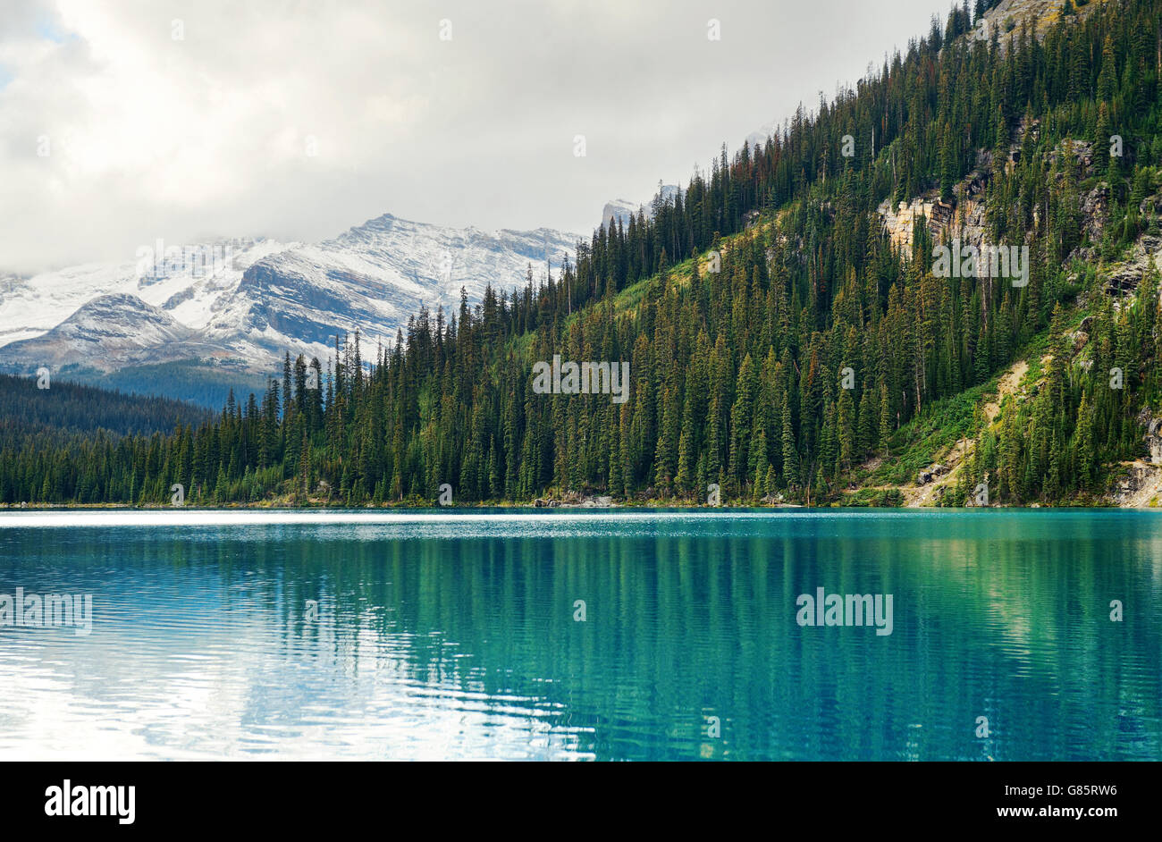 Lake O'hara, Yohu National Park, Canada Stock Photo - Alamy
